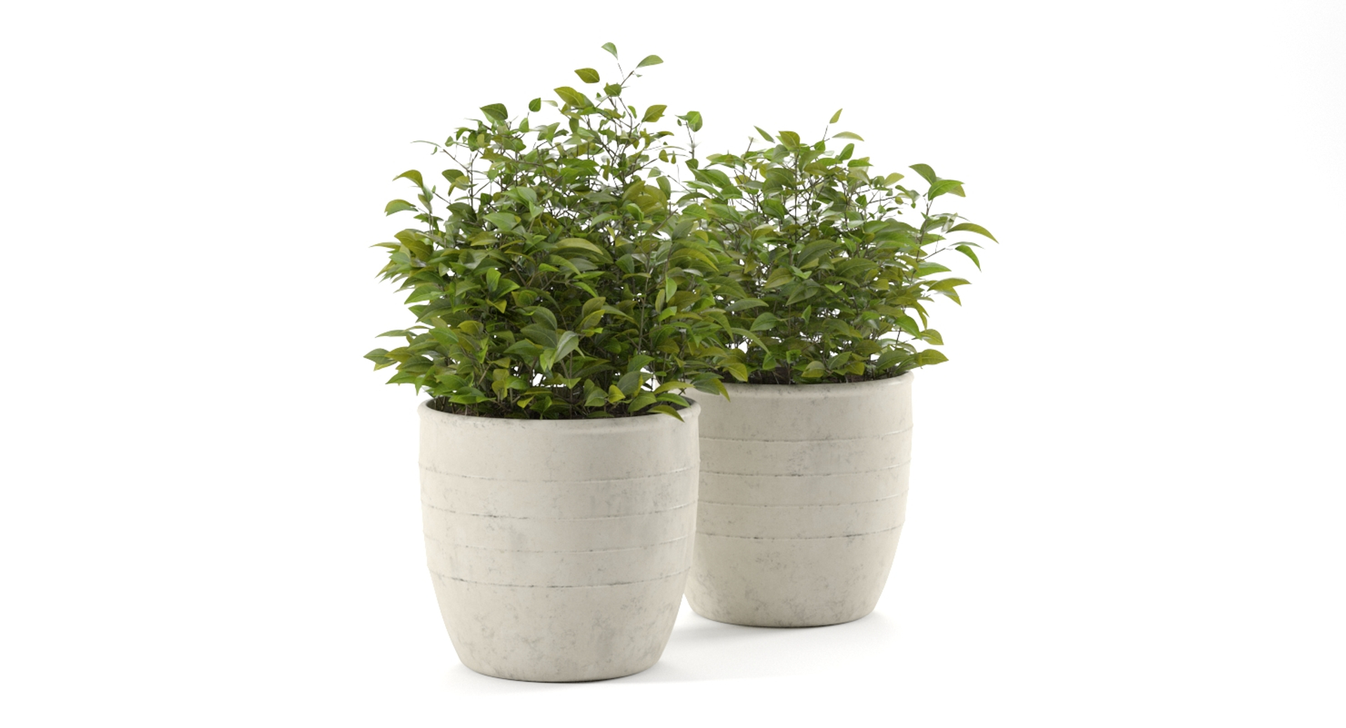 3D Realistic Outdoor Plant Pot - TurboSquid 1330729