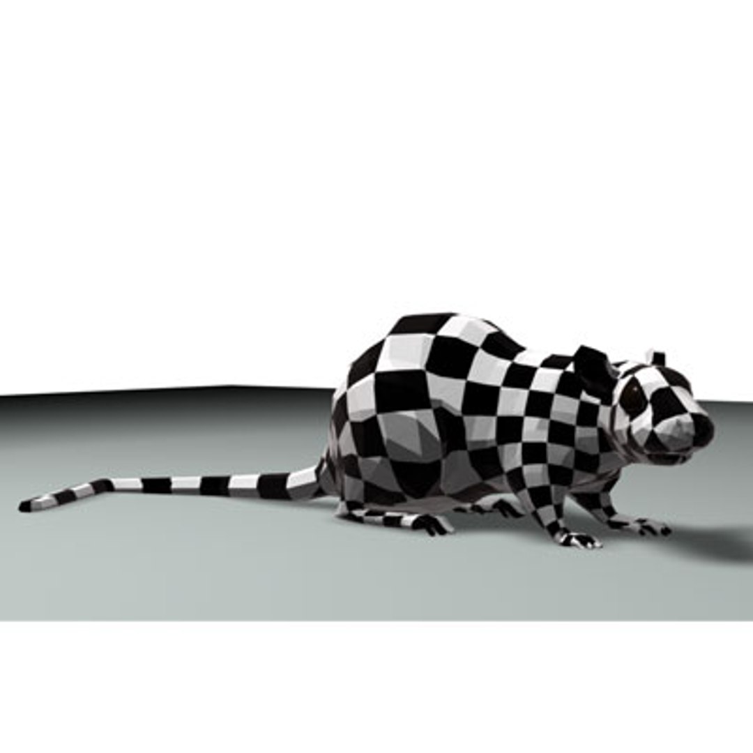 Rat 3d Model