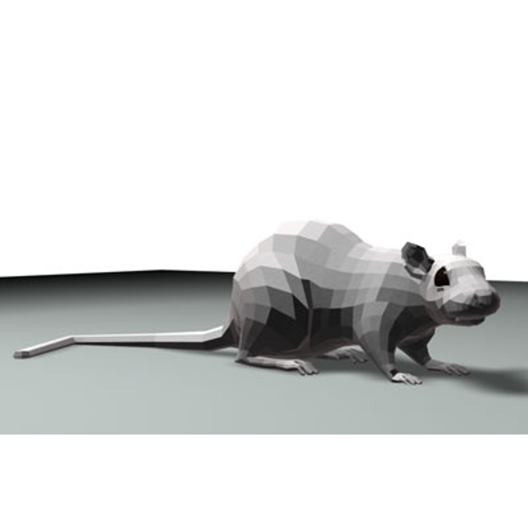 Rat 3d Model