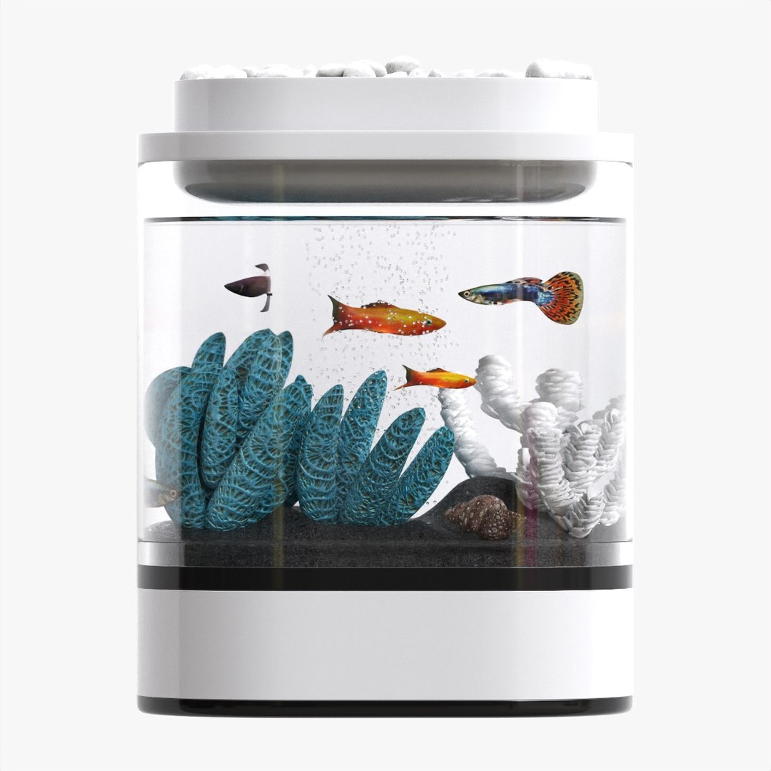 3D Xiaomi Geometry Mini Lazy Fish Tank - TurboSquid 1867247