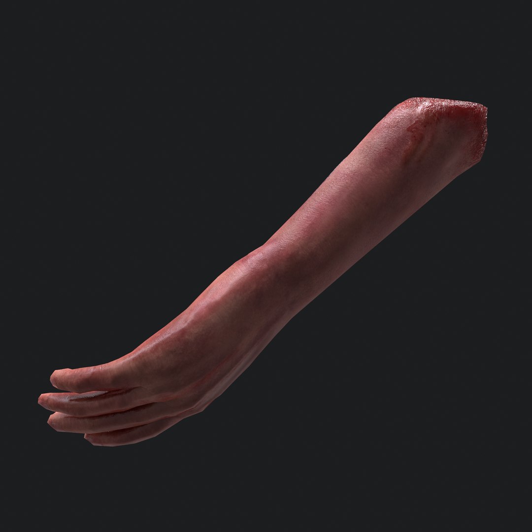 Severed arm 3D model - TurboSquid 1392859