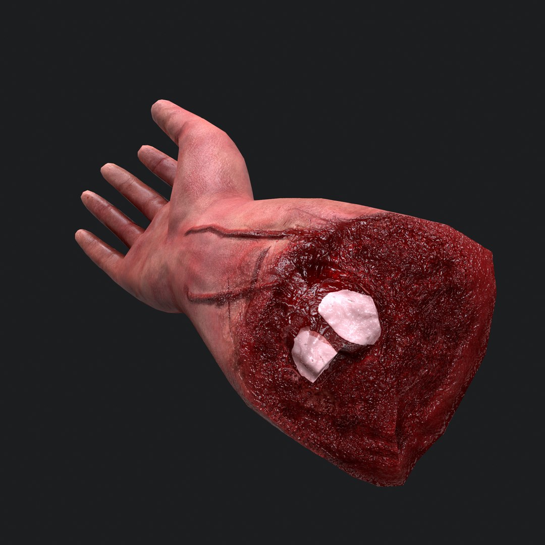 Severed Arm 3D Model - TurboSquid 1392859