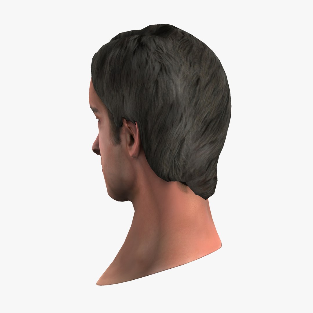 3d model adult male head