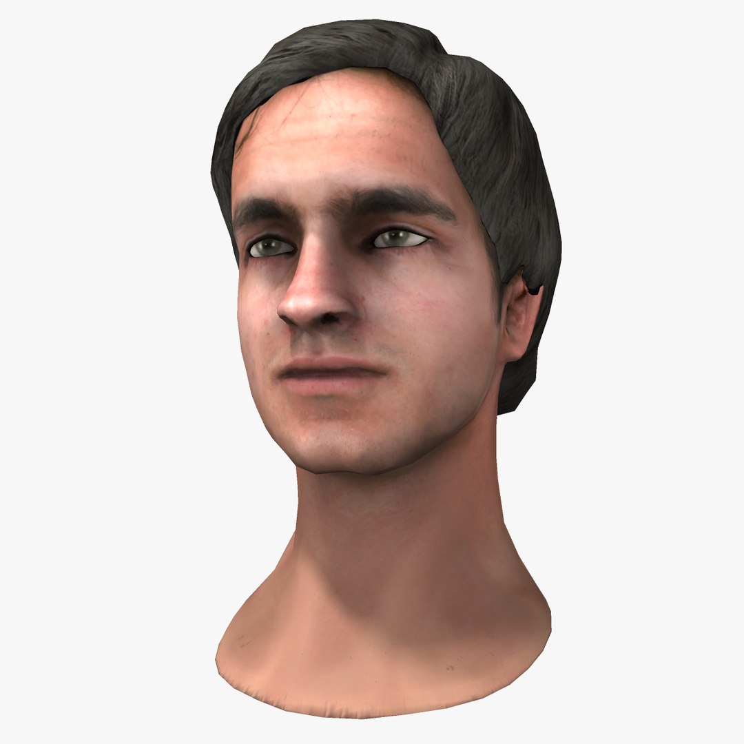 3d model adult male head