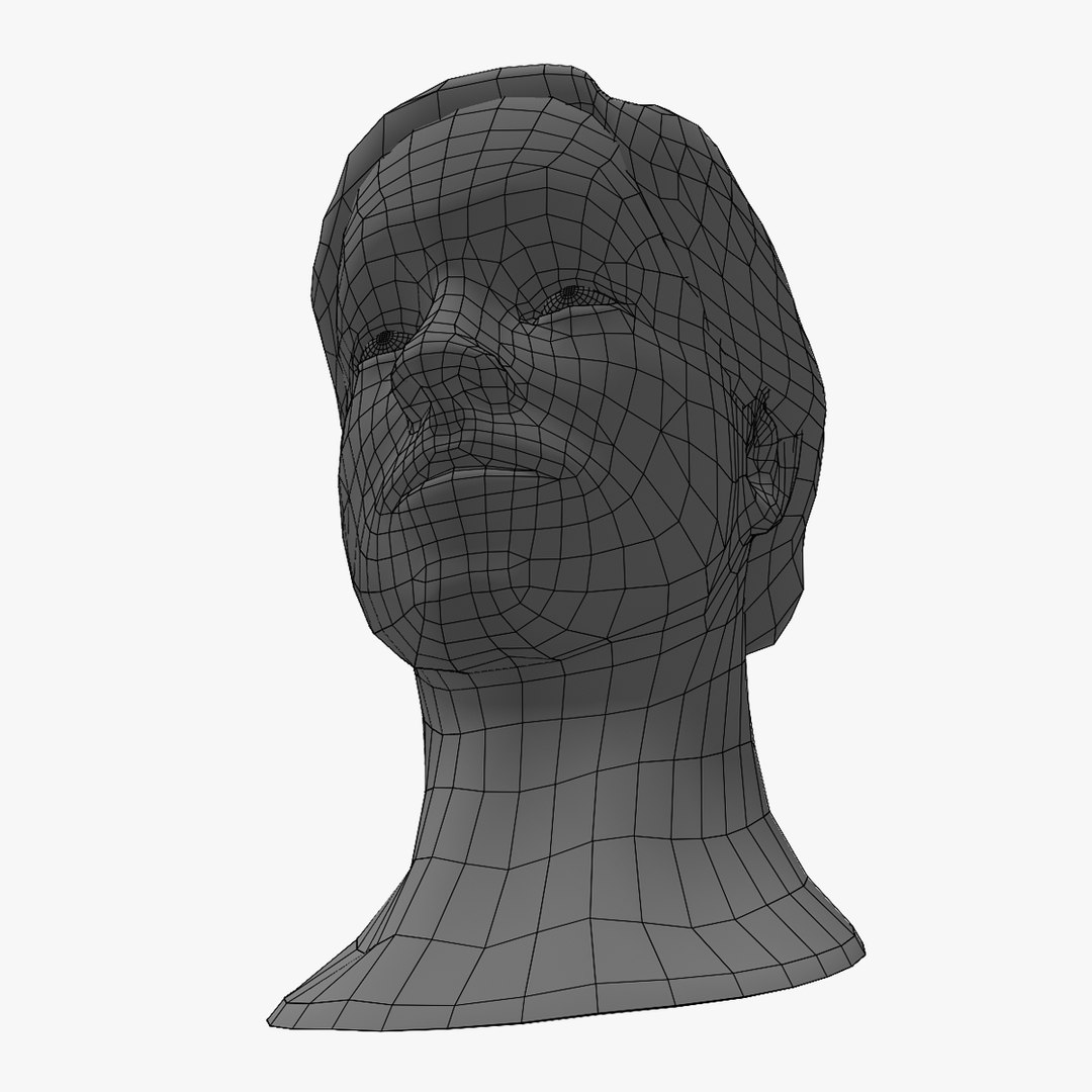 3d model adult male head