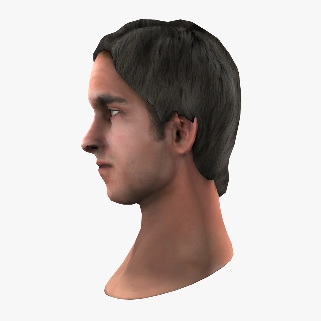 3d model adult male head