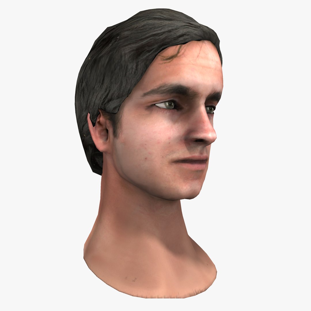 3d model adult male head