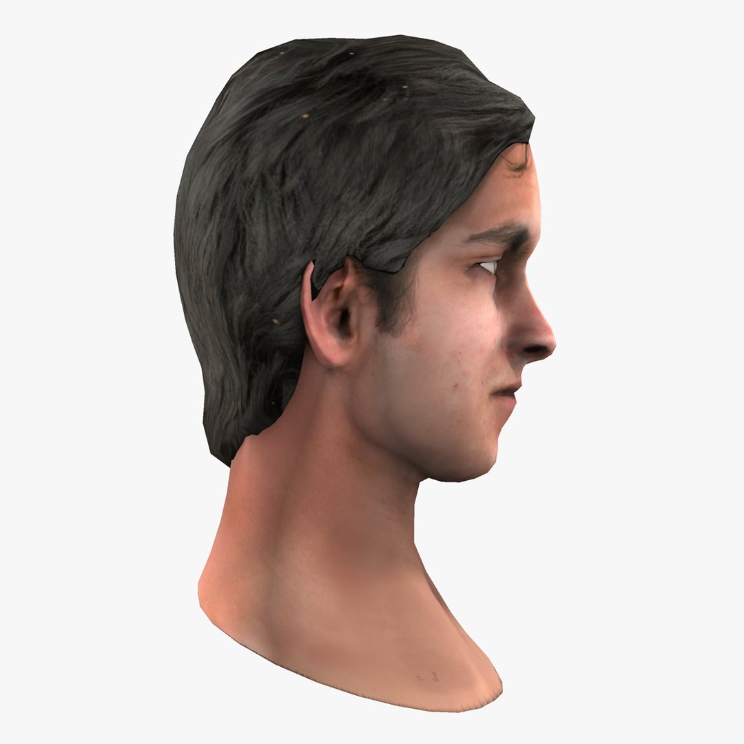3d model adult male head