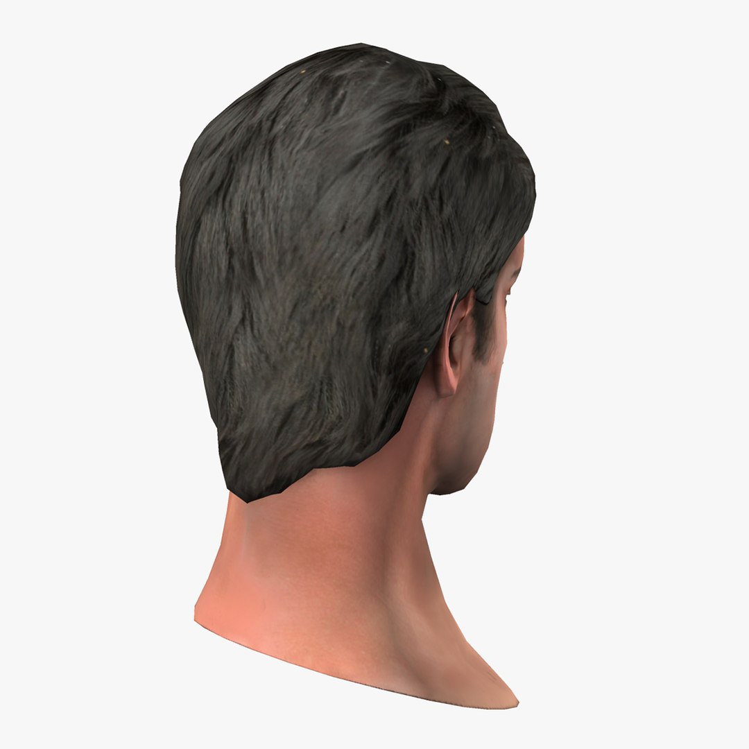 3d model adult male head