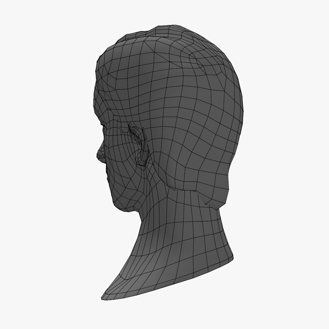 3d model adult male head