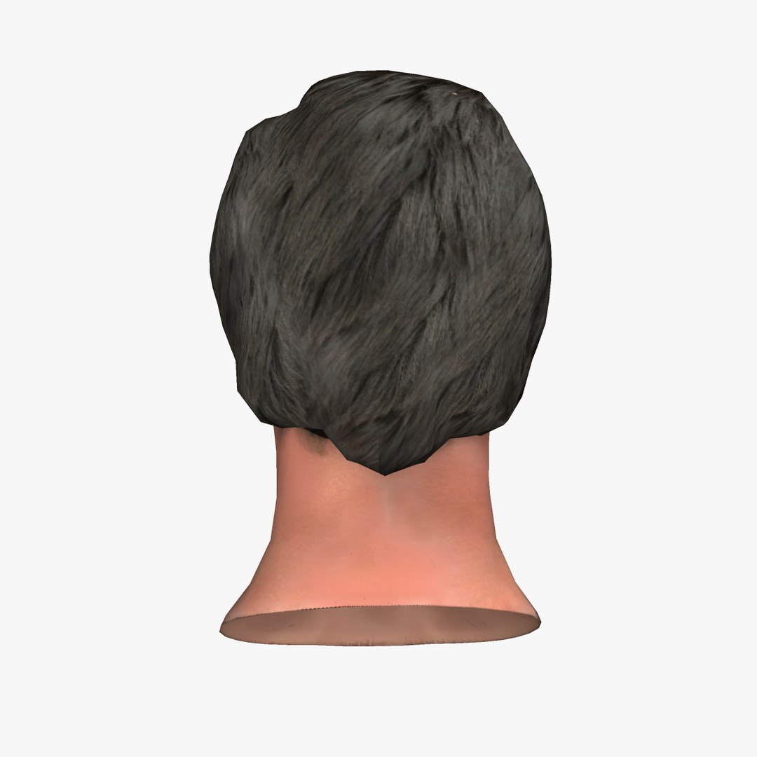 3d model adult male head