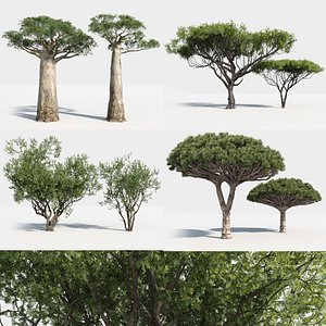 Free 3D Tree Archicad Models - Available For Download On TurboSquid