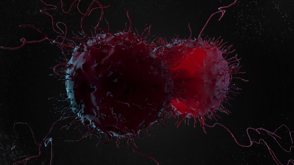 Cancer Cells Animated 3D model - TurboSquid 1715652