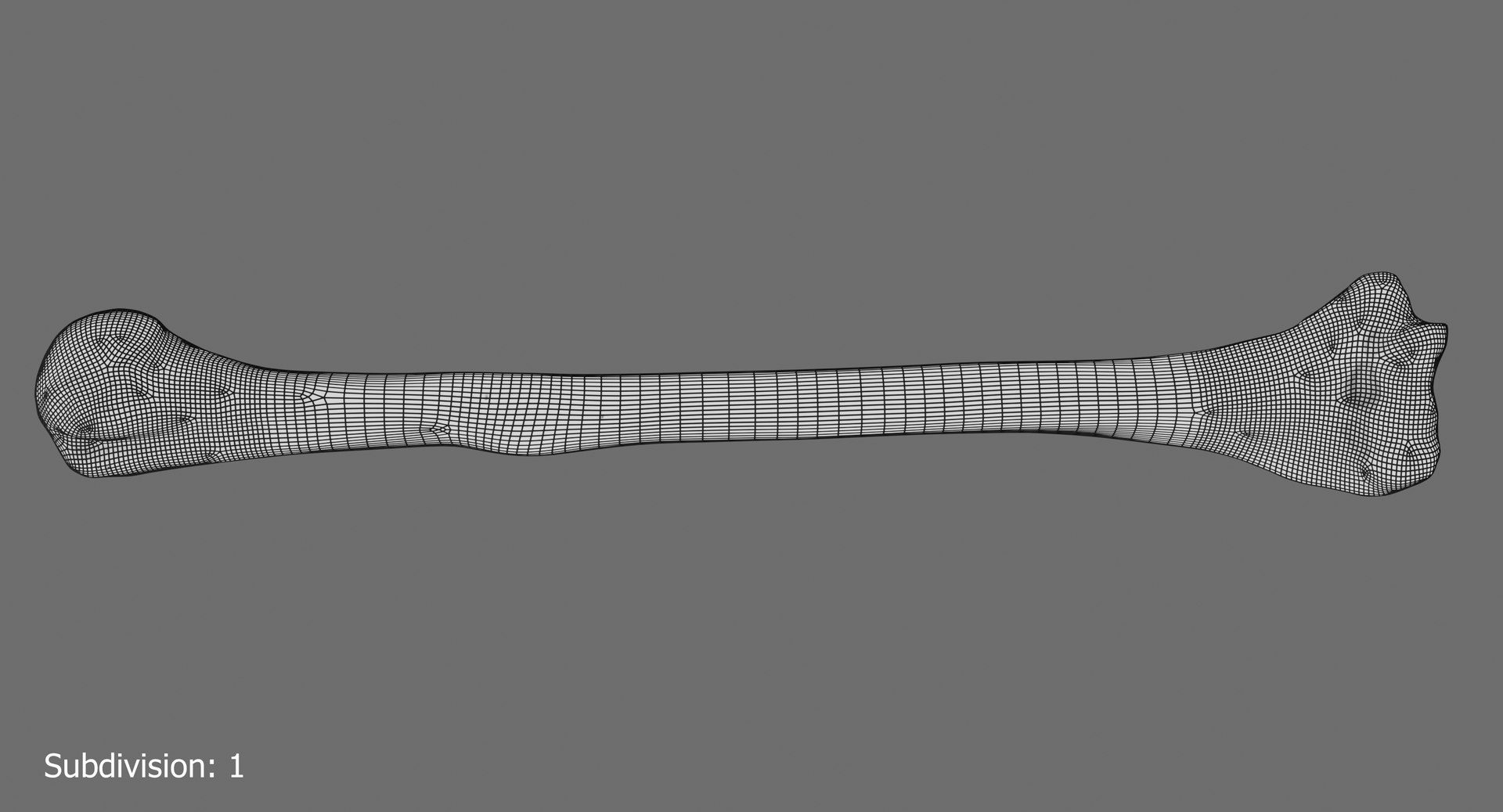 Humerus Anatomy Modeled 3D Model - TurboSquid 1384910