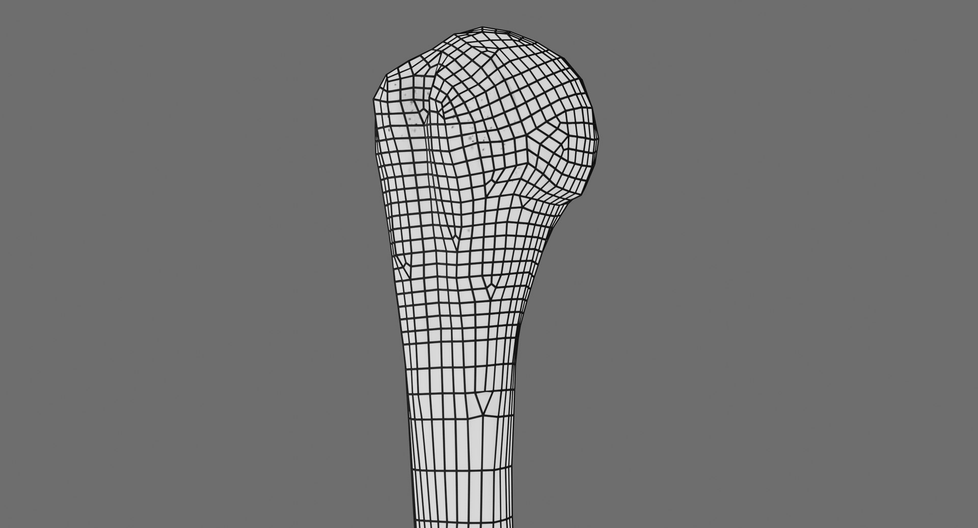 Humerus Anatomy Modeled 3D Model - TurboSquid 1384910