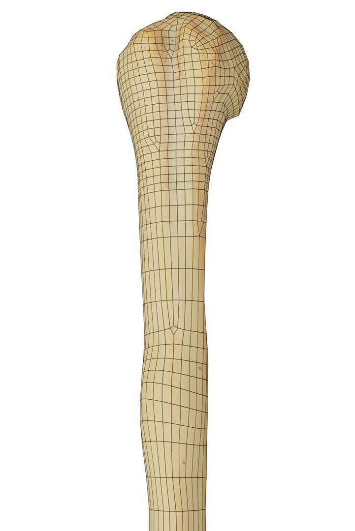 Humerus Anatomy Modeled 3D Model - TurboSquid 1384910