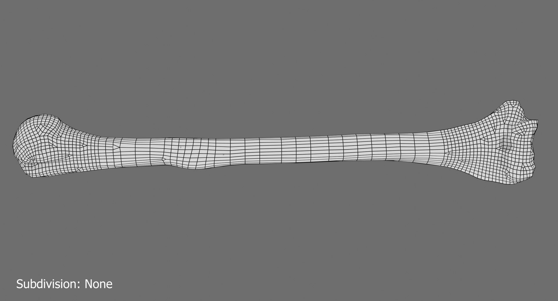 Humerus Anatomy Modeled 3D Model - TurboSquid 1384910