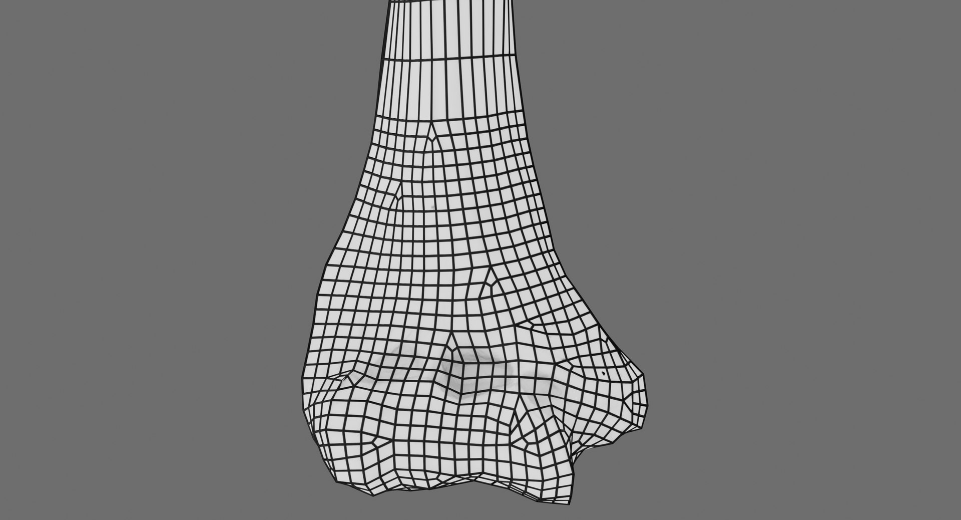 Humerus Anatomy Modeled 3D Model - TurboSquid 1384910