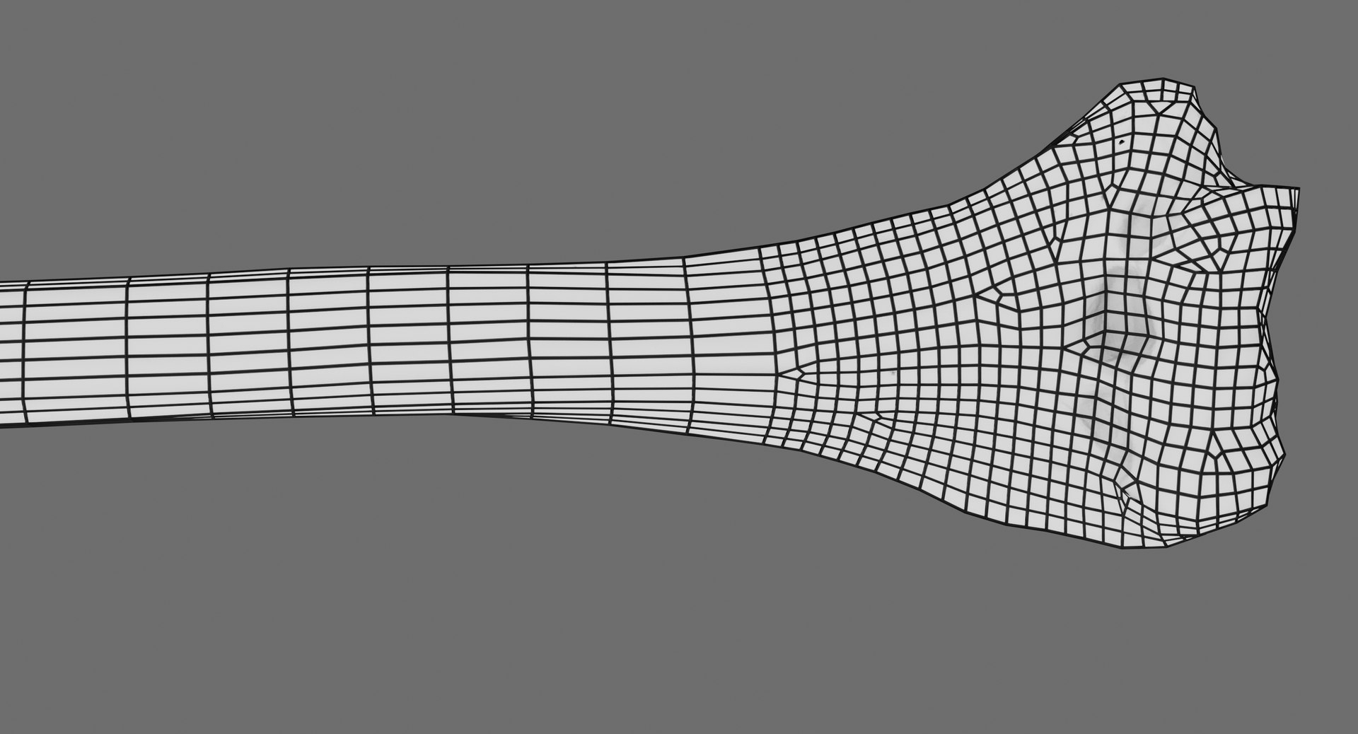 Humerus Anatomy Modeled 3D Model - TurboSquid 1384910