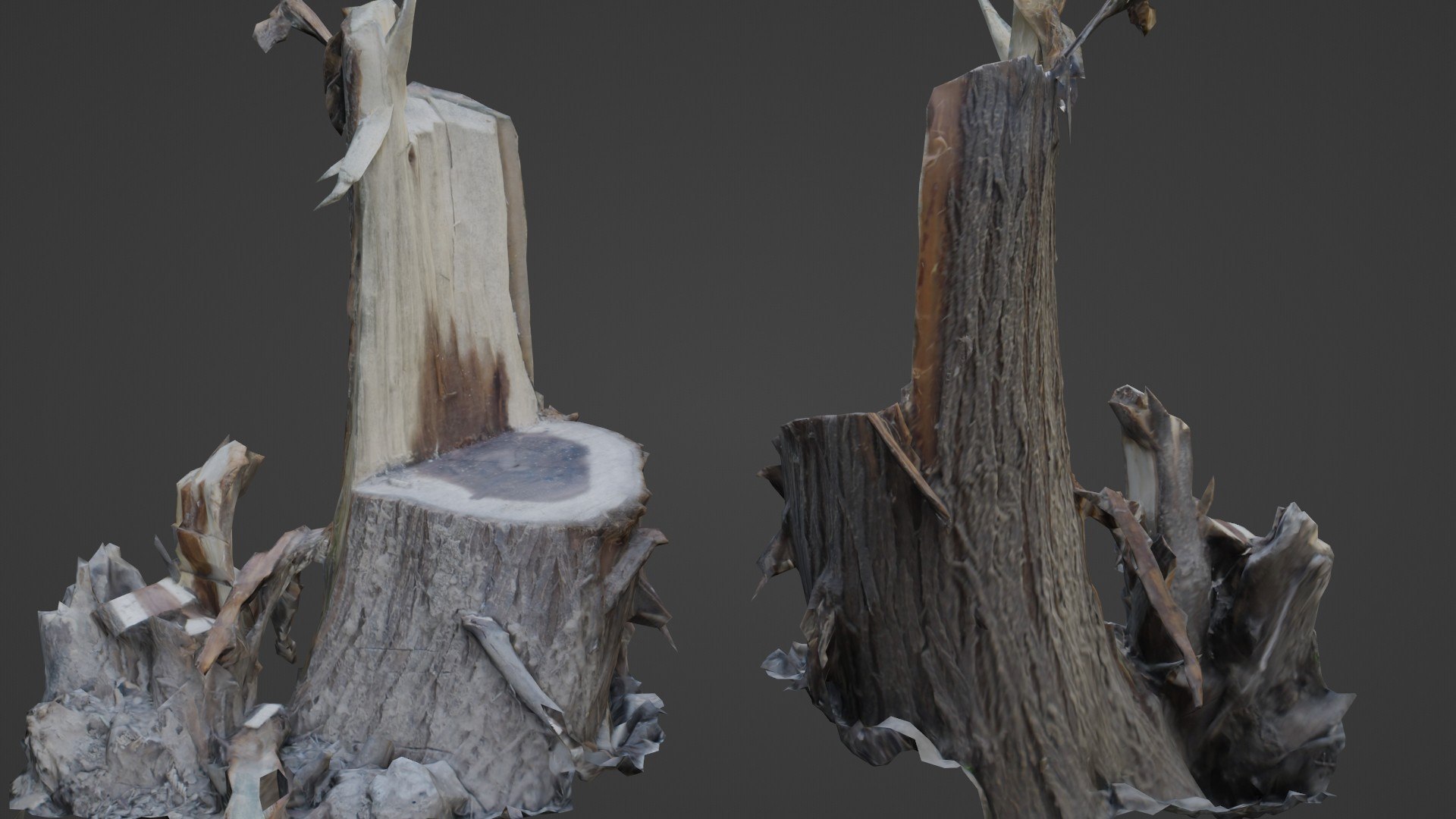 Cutted Tree Trunk 3D Model - TurboSquid 2332132