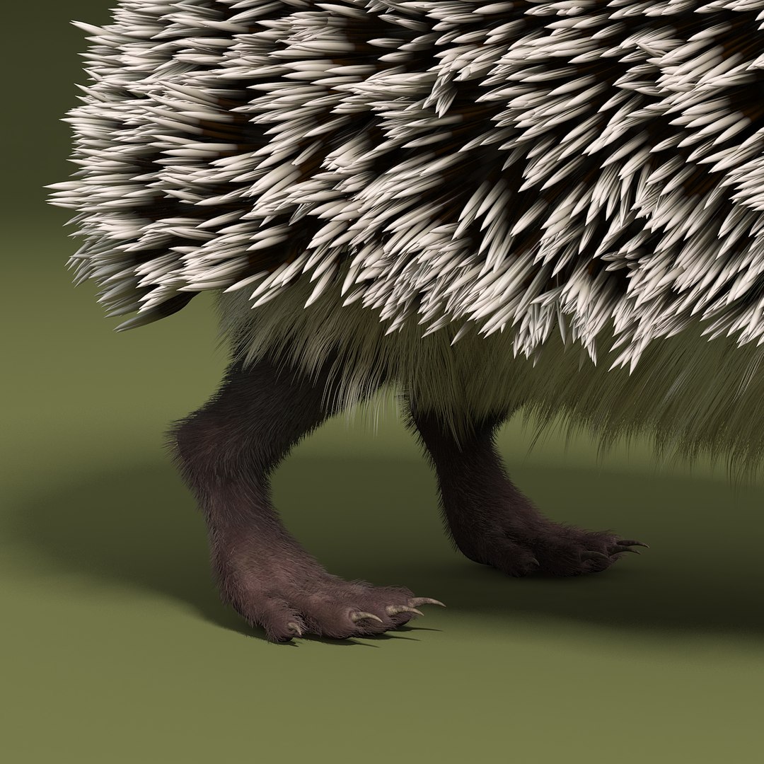 3d Hedgehog Fur Rigged