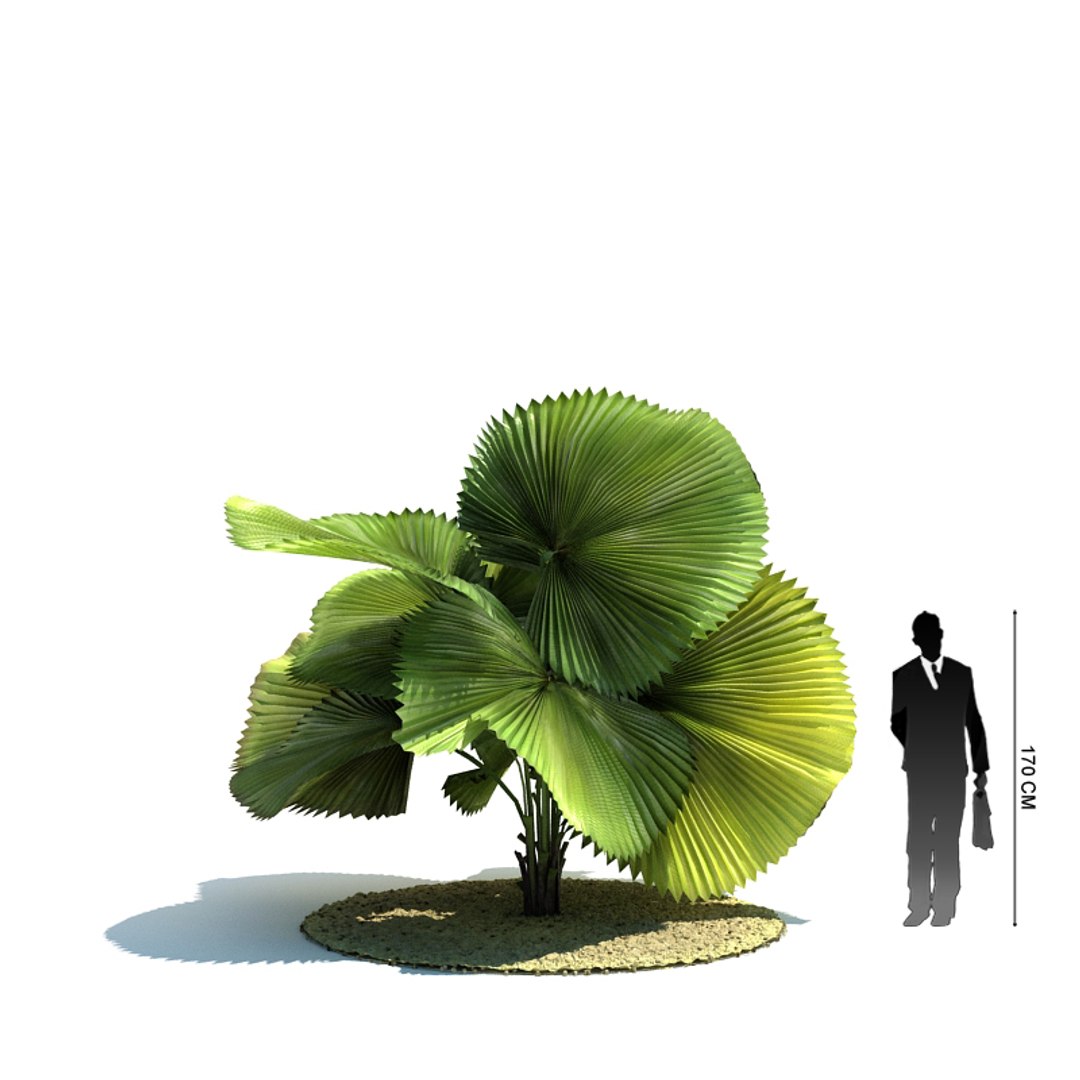 archmodels 85 trees 3d c4d