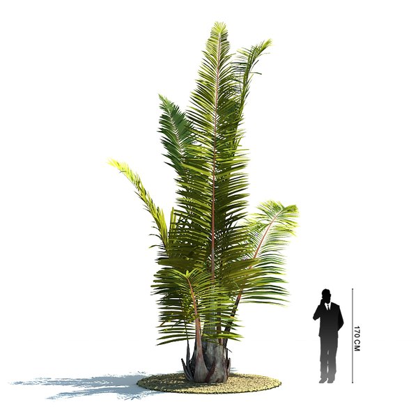 archmodels 85 trees 3d c4d