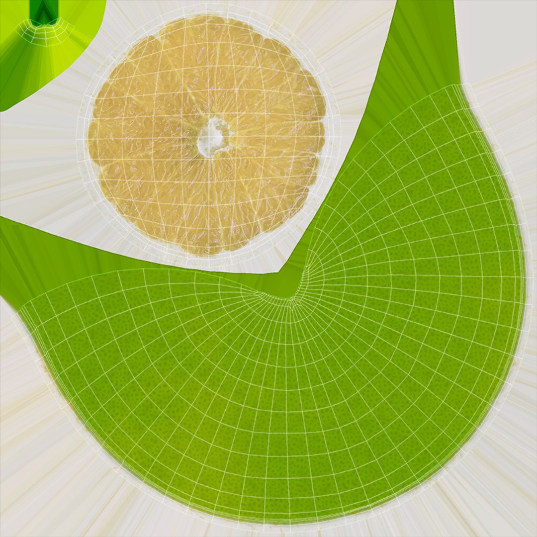 3D Model Green Grapefruit Collection - TurboSquid 2033057