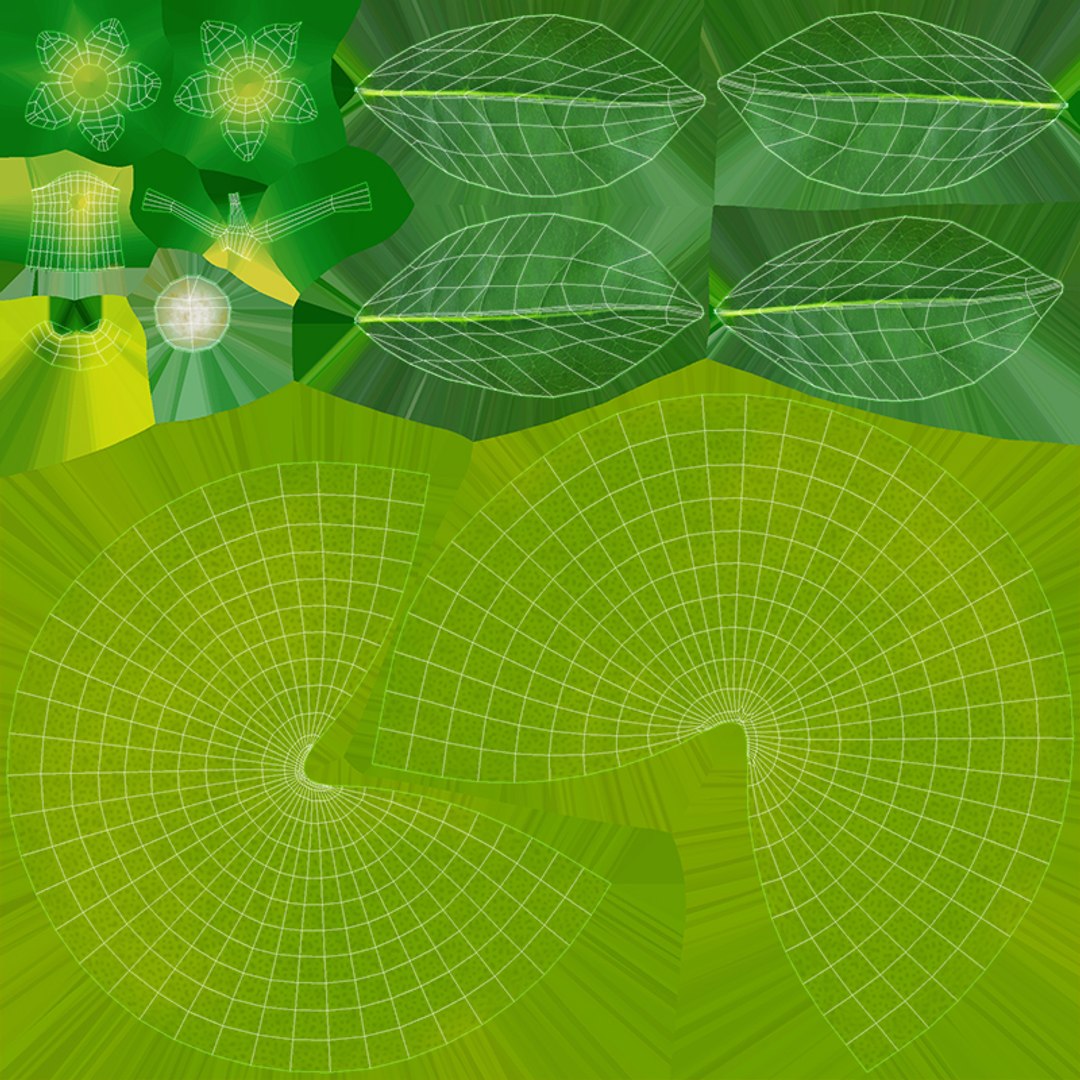 3D Model Green Grapefruit Collection - TurboSquid 2033057