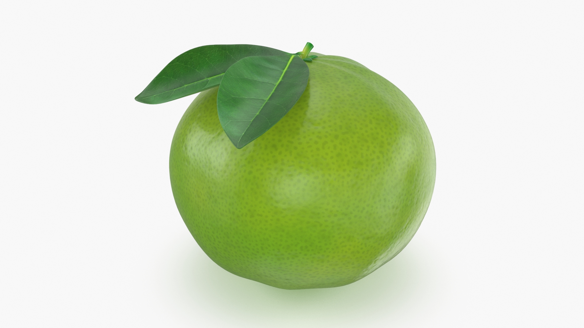 3D Model Green Grapefruit Collection - TurboSquid 2033057