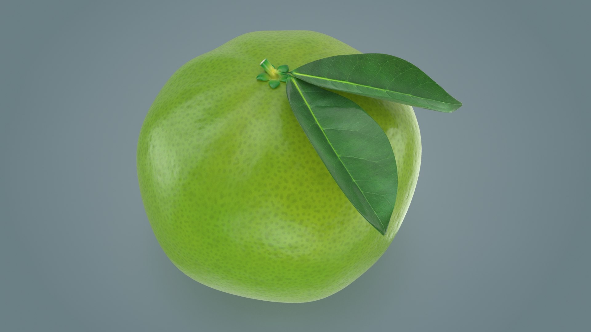 3D Model Green Grapefruit Collection - TurboSquid 2033057