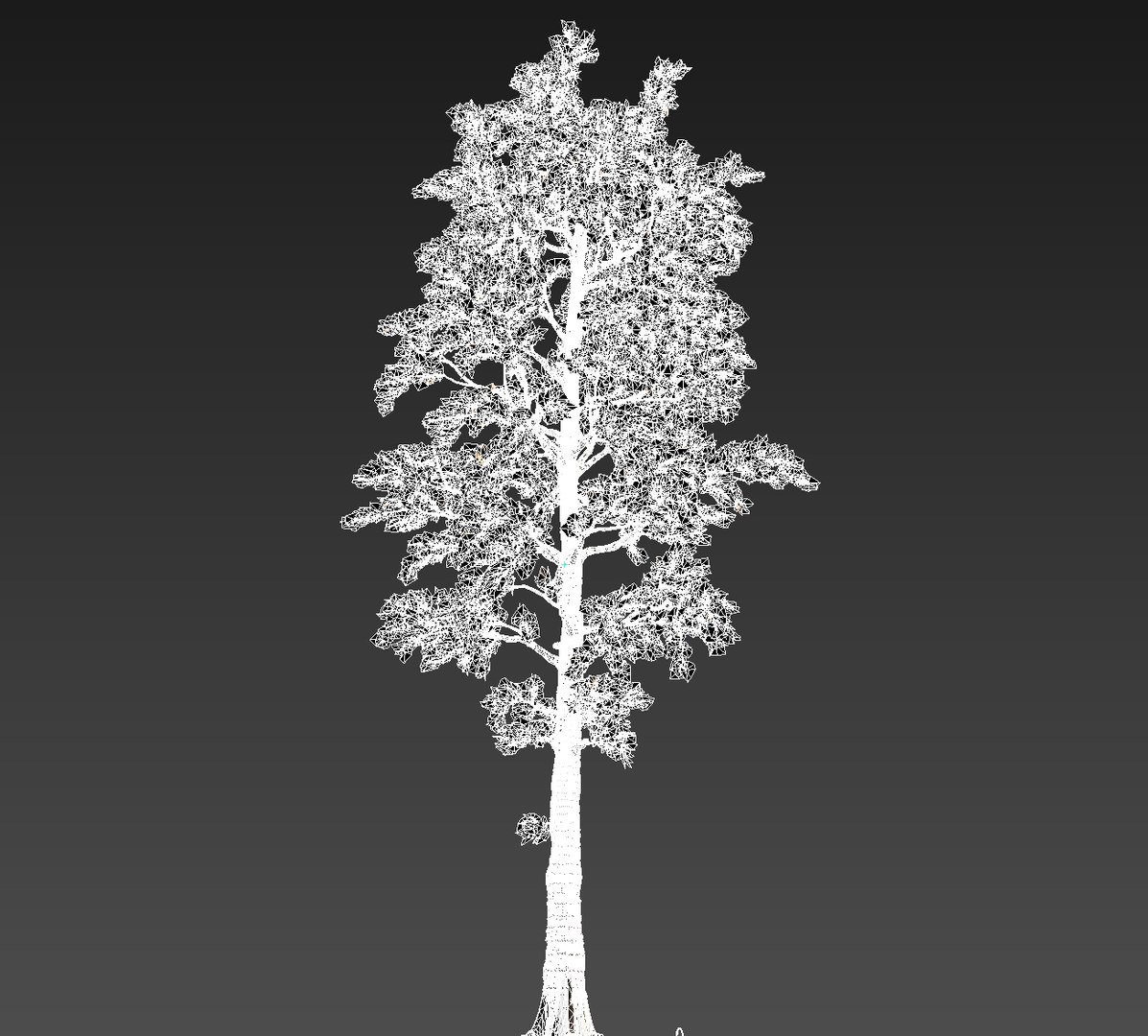 3D Model Pine Tree - TurboSquid 1368584