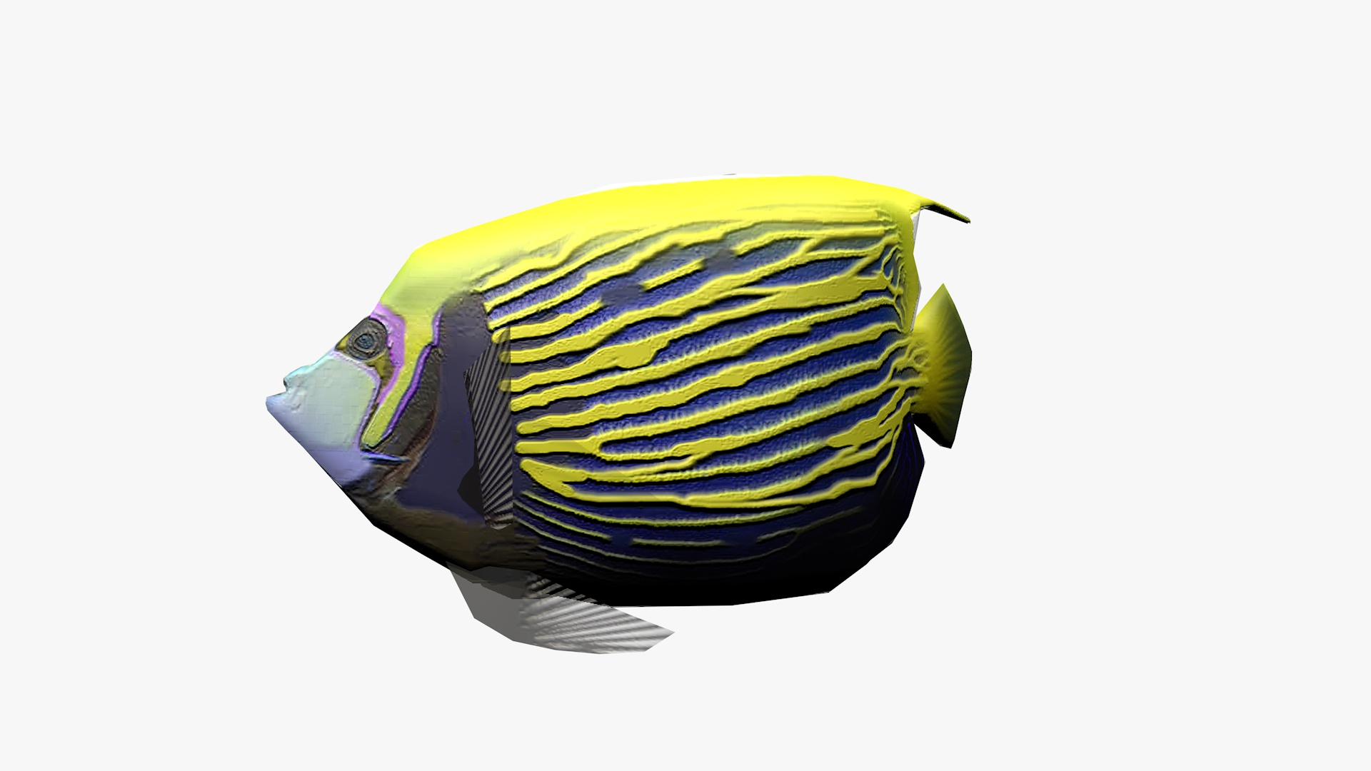 Swimming Emperor Angel Fish Animation 3D Model - TurboSquid 1590064