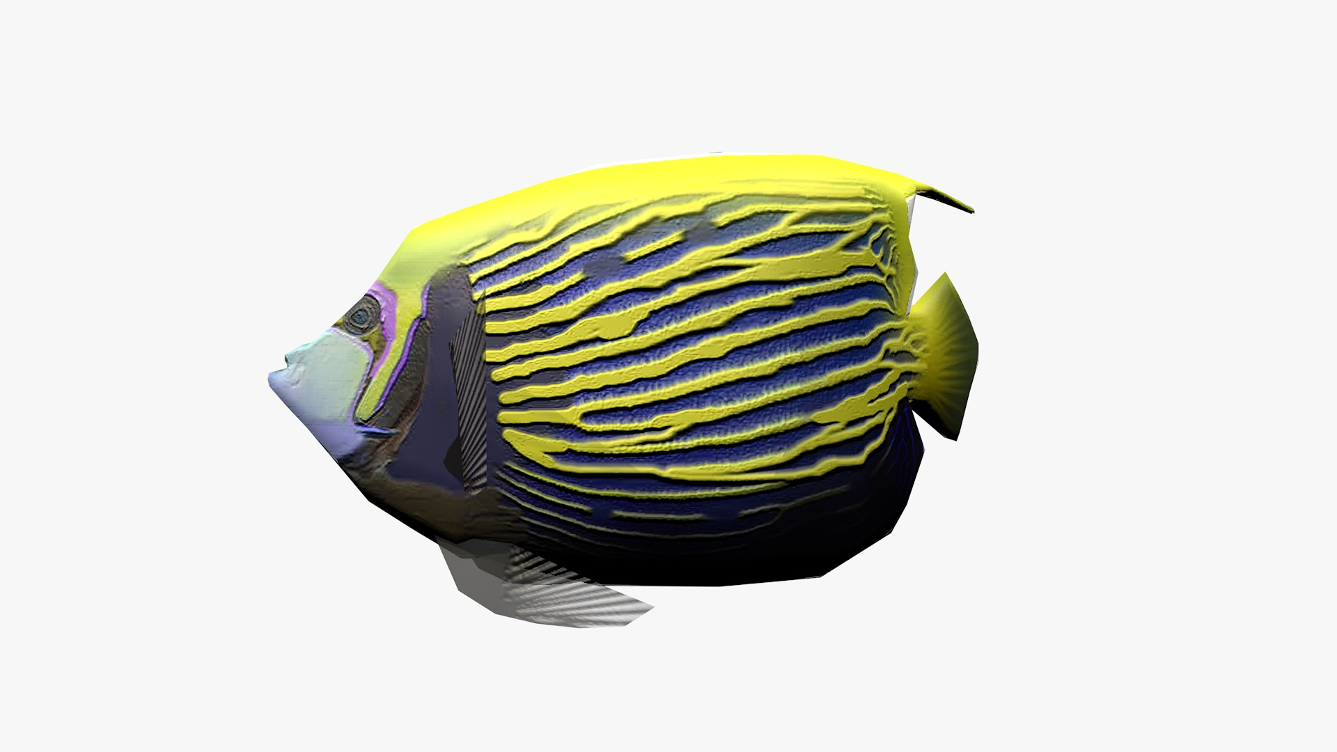 Swimming Emperor Angel Fish Animation 3D Model - TurboSquid 1590064