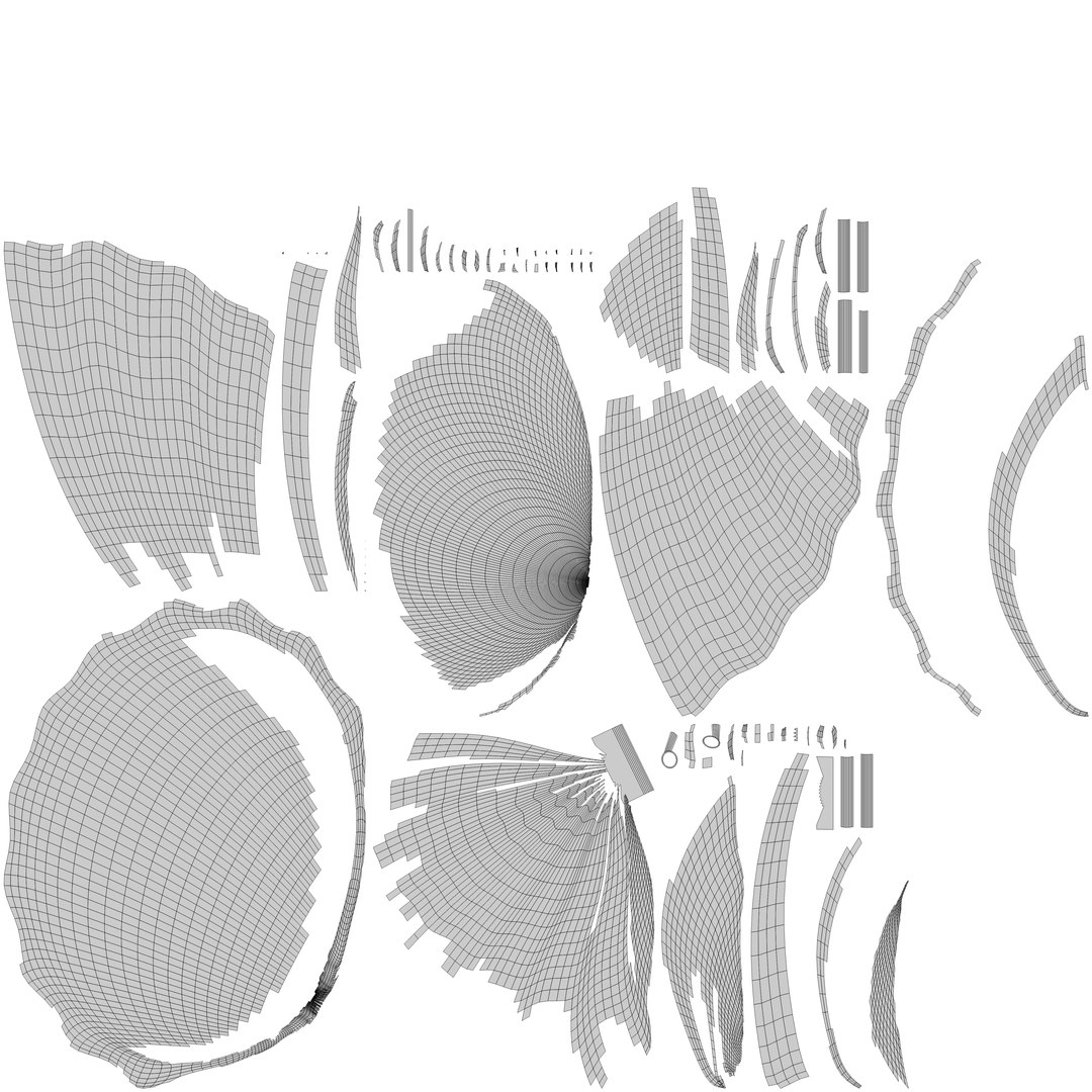 Shell Pearl 3D - TurboSquid 1619135