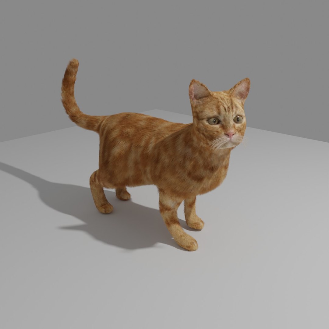 Cat 3D - TurboSquid 2026872