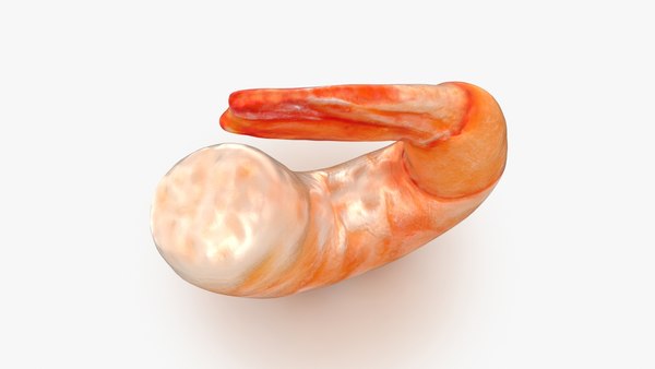 3D Shrimp model - TurboSquid 2042771