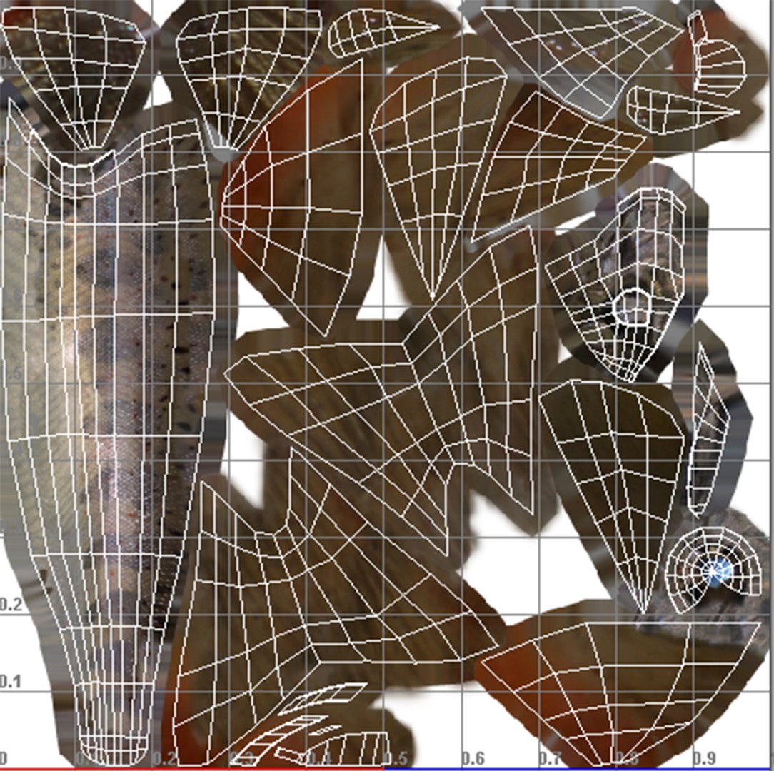 Amago Trout 3d Model