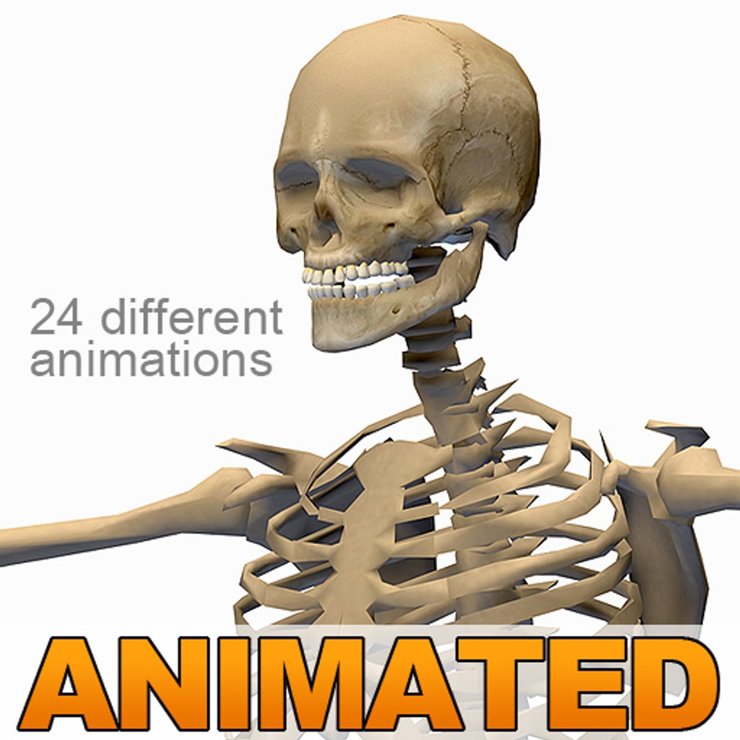 human skeleton 24 animations 3d 3ds
