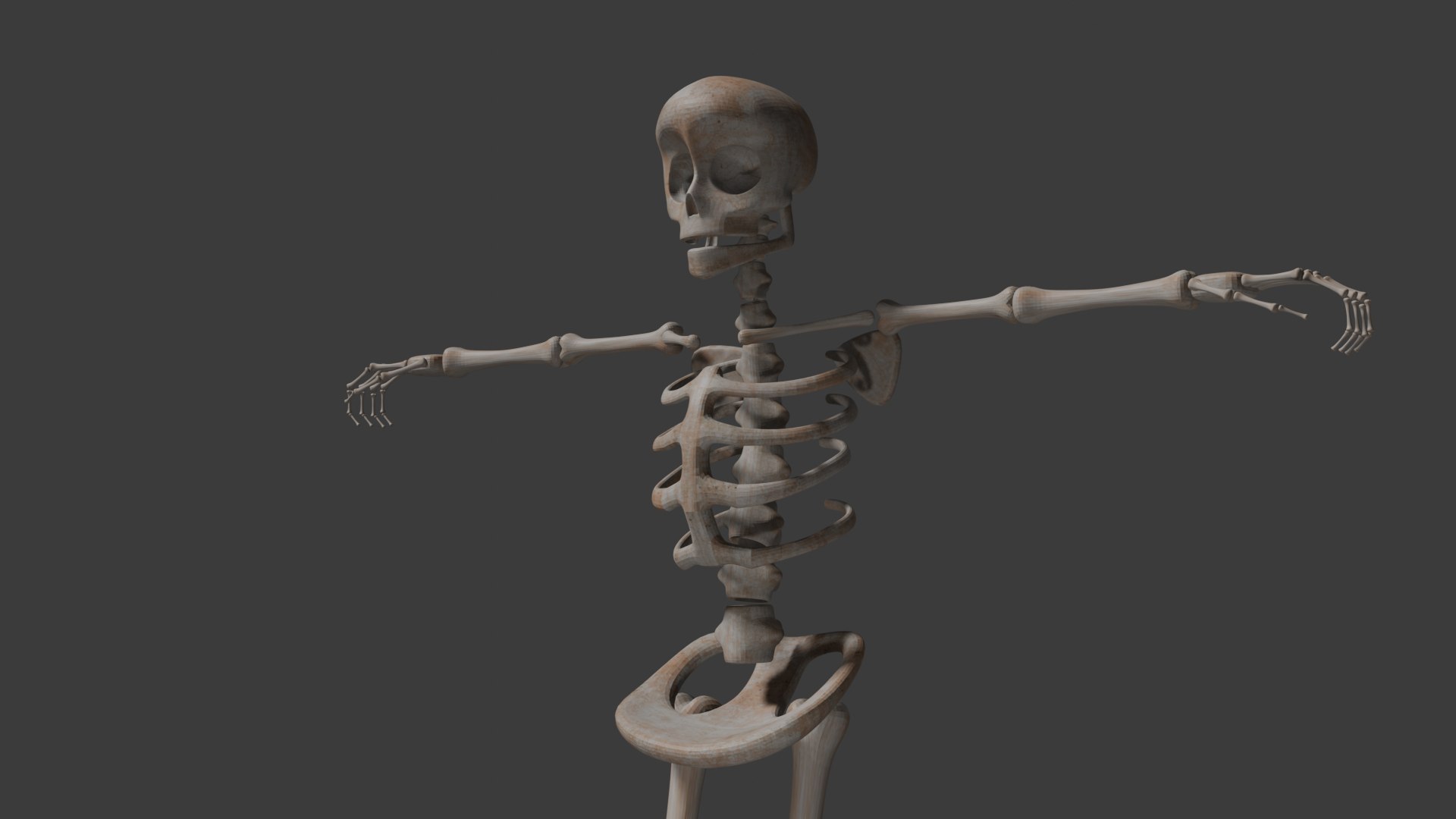 Human Skeleton 3D Model - TurboSquid 2459419