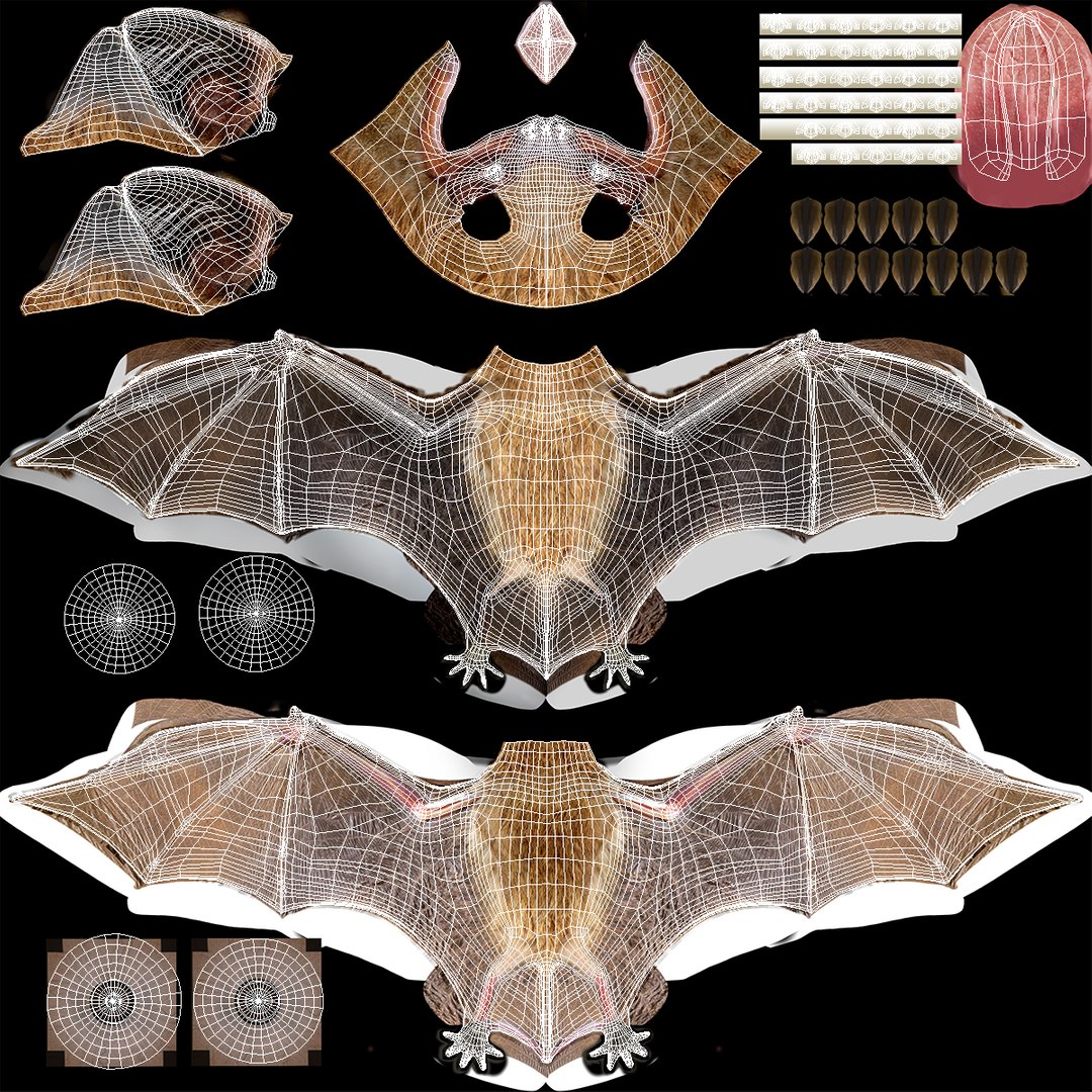 Hanging Bat Fur 3d Model