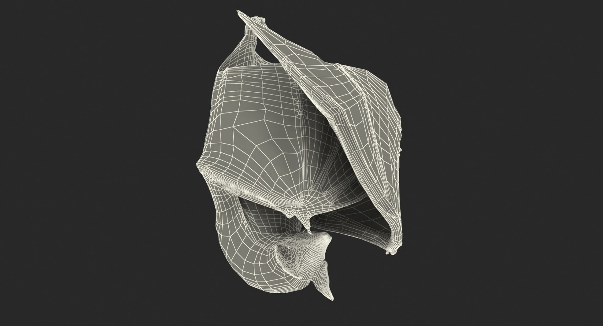 hanging bat fur 3d model