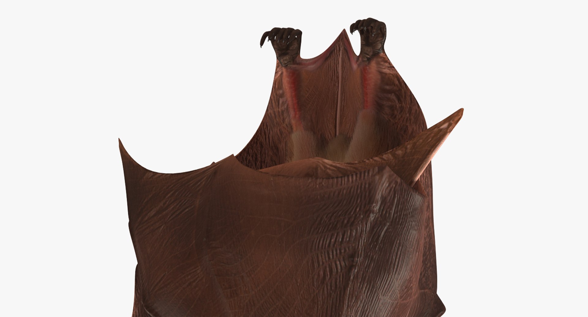 Hanging Bat Fur 3d Model