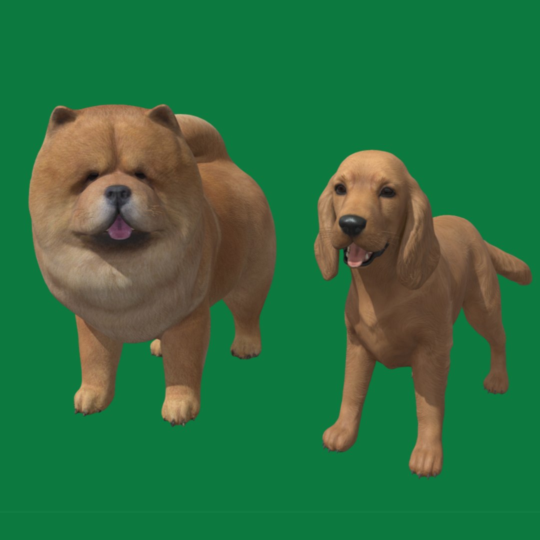 modelo 3d Chow Chow And Cockerspaniel - TurboSquid 2032401