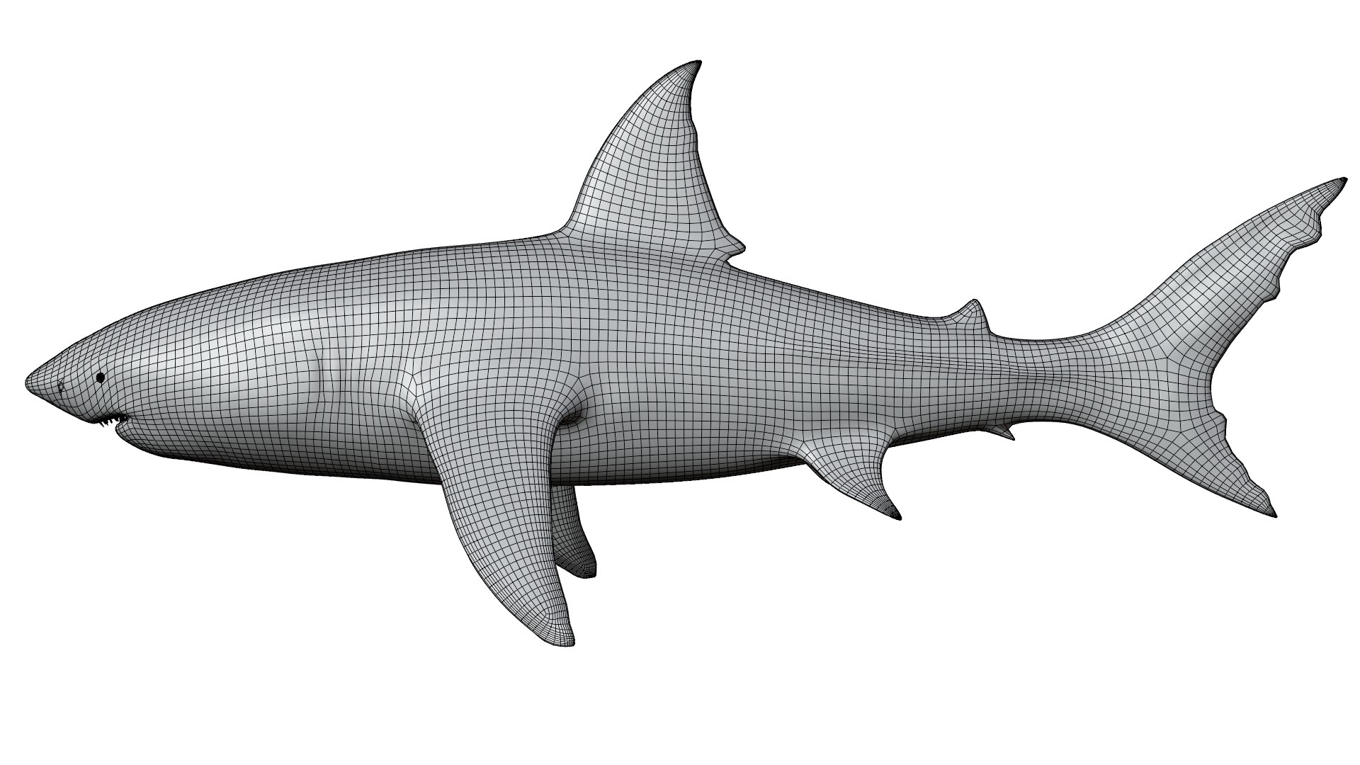 3D model Great White Shark - TurboSquid 2124451