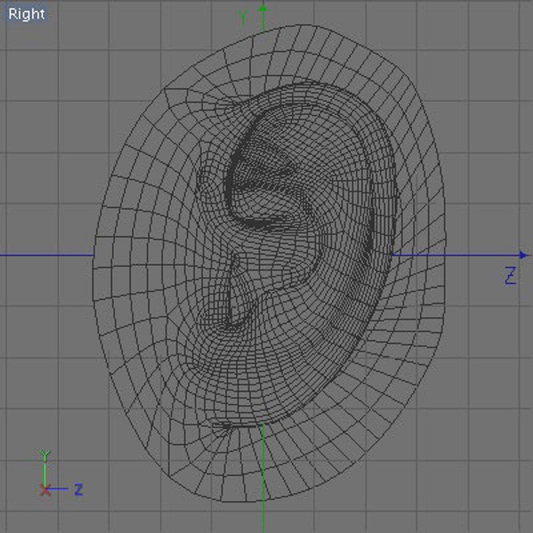 Human Ear Dxf