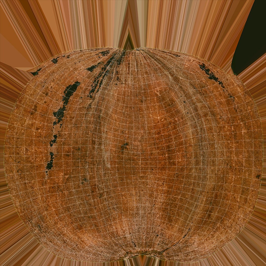 Pecan Shell 02 3D - TurboSquid 1977604