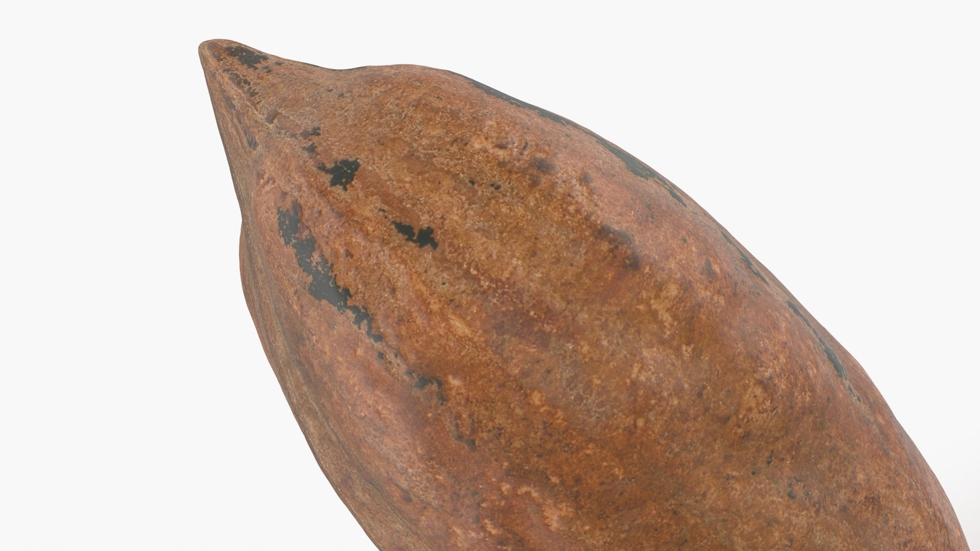 Pecan Shell 02 3D - TurboSquid 1977604