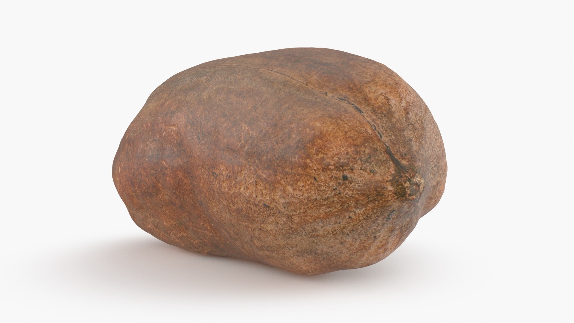 Pecan Shell 02 3D - TurboSquid 1977604