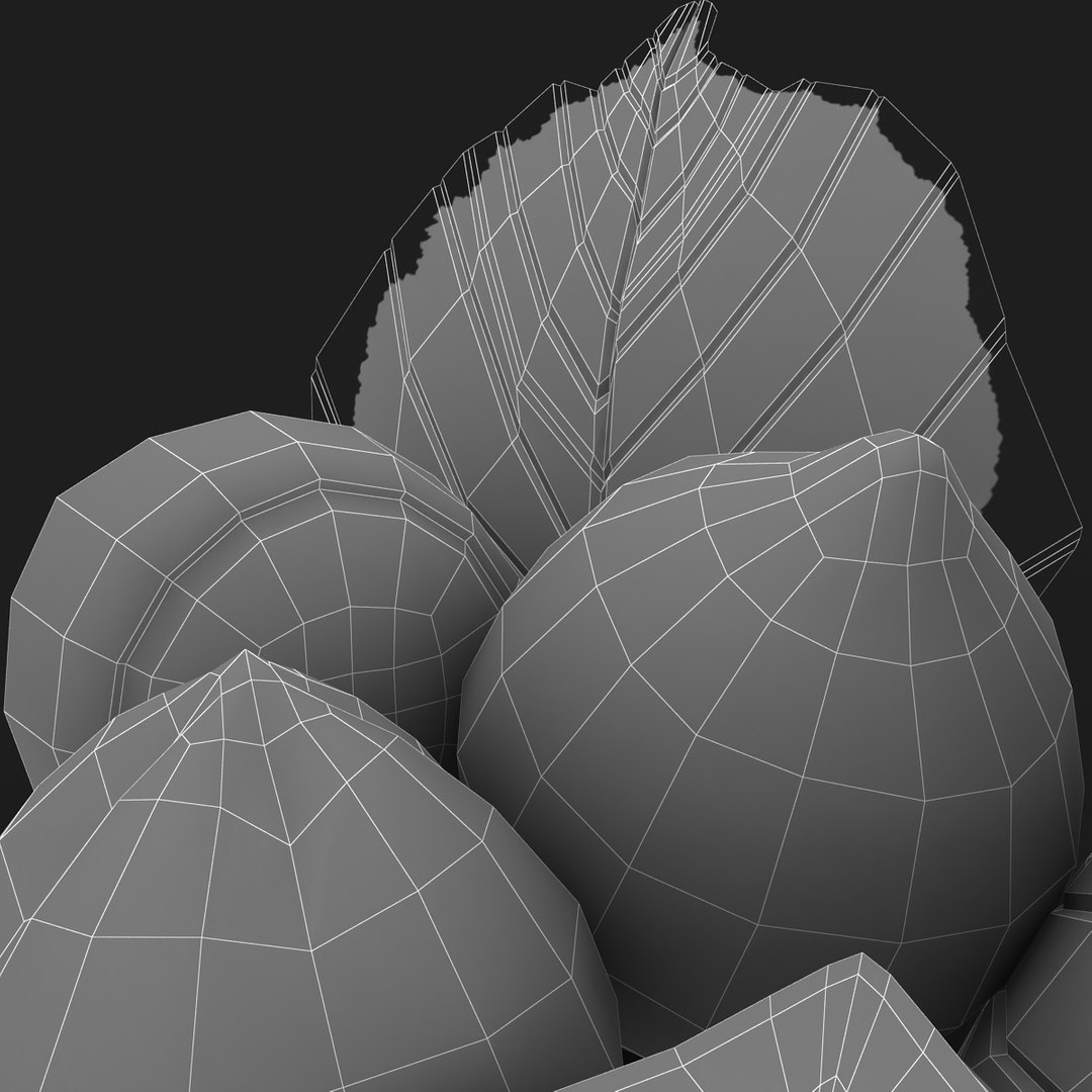 Hazelnut Scanline 3d Model